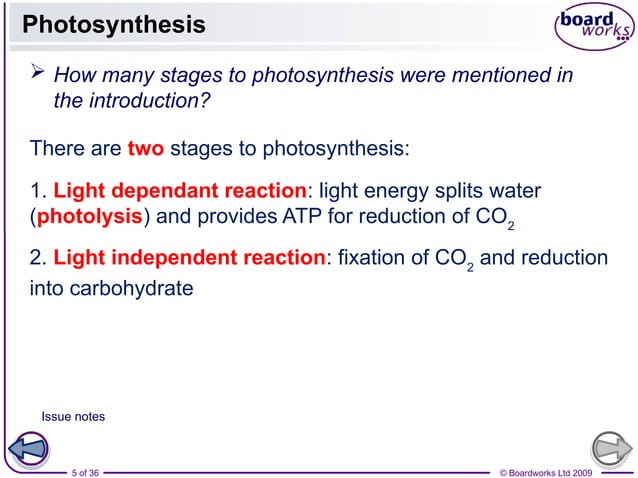 Photosynthesis International A Level Biology Grade 12 | PPTX