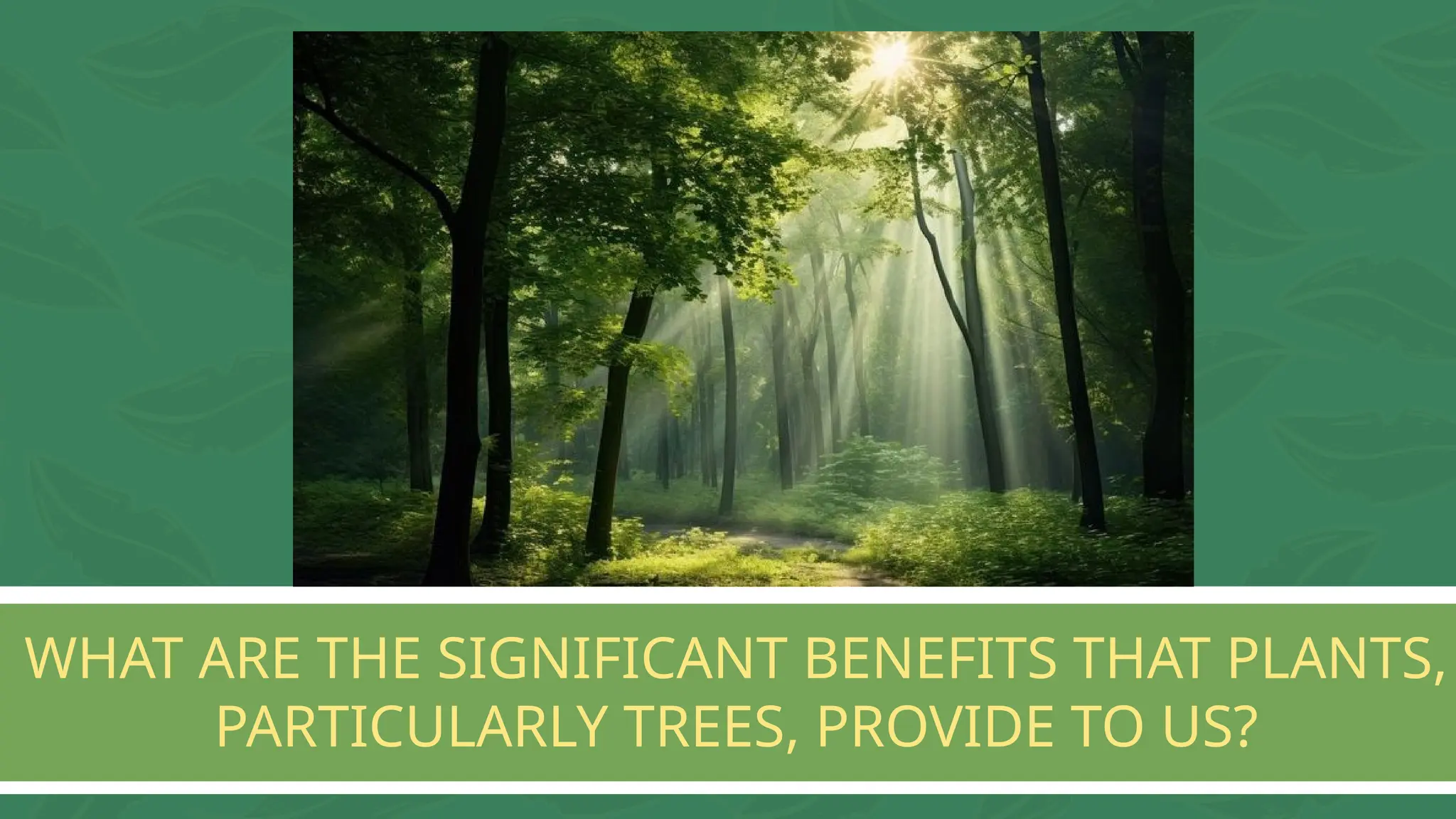 The Science of Photosynthesis: How Plants Convert Sunlight into Energy ...