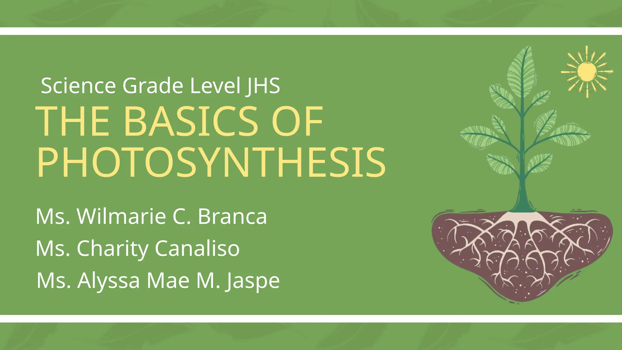 The Science of Photosynthesis: How Plants Convert Sunlight into Energy ...