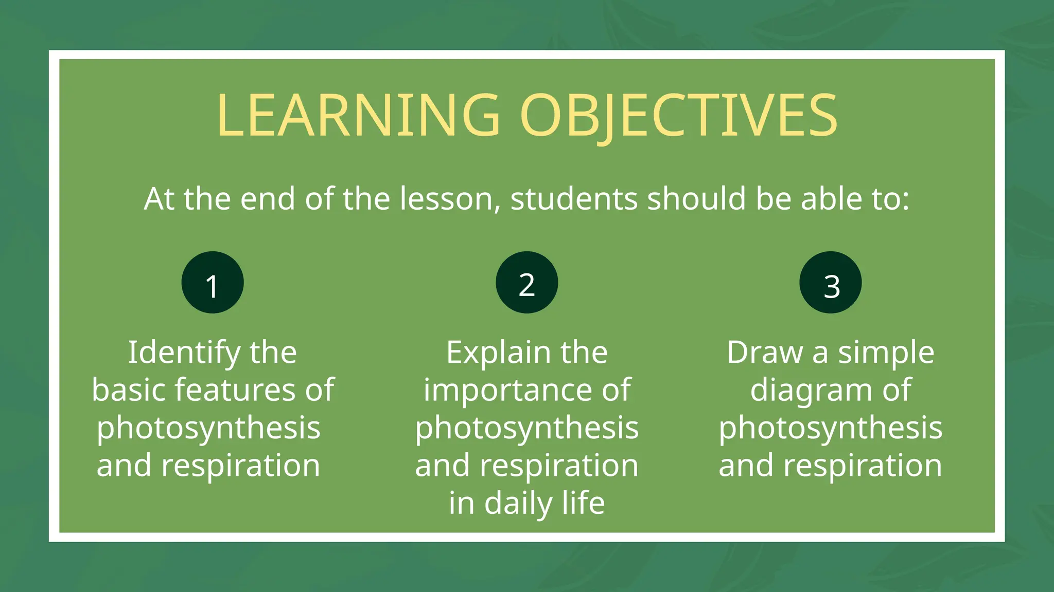 The Science of Photosynthesis: How Plants Convert Sunlight into Energy ...