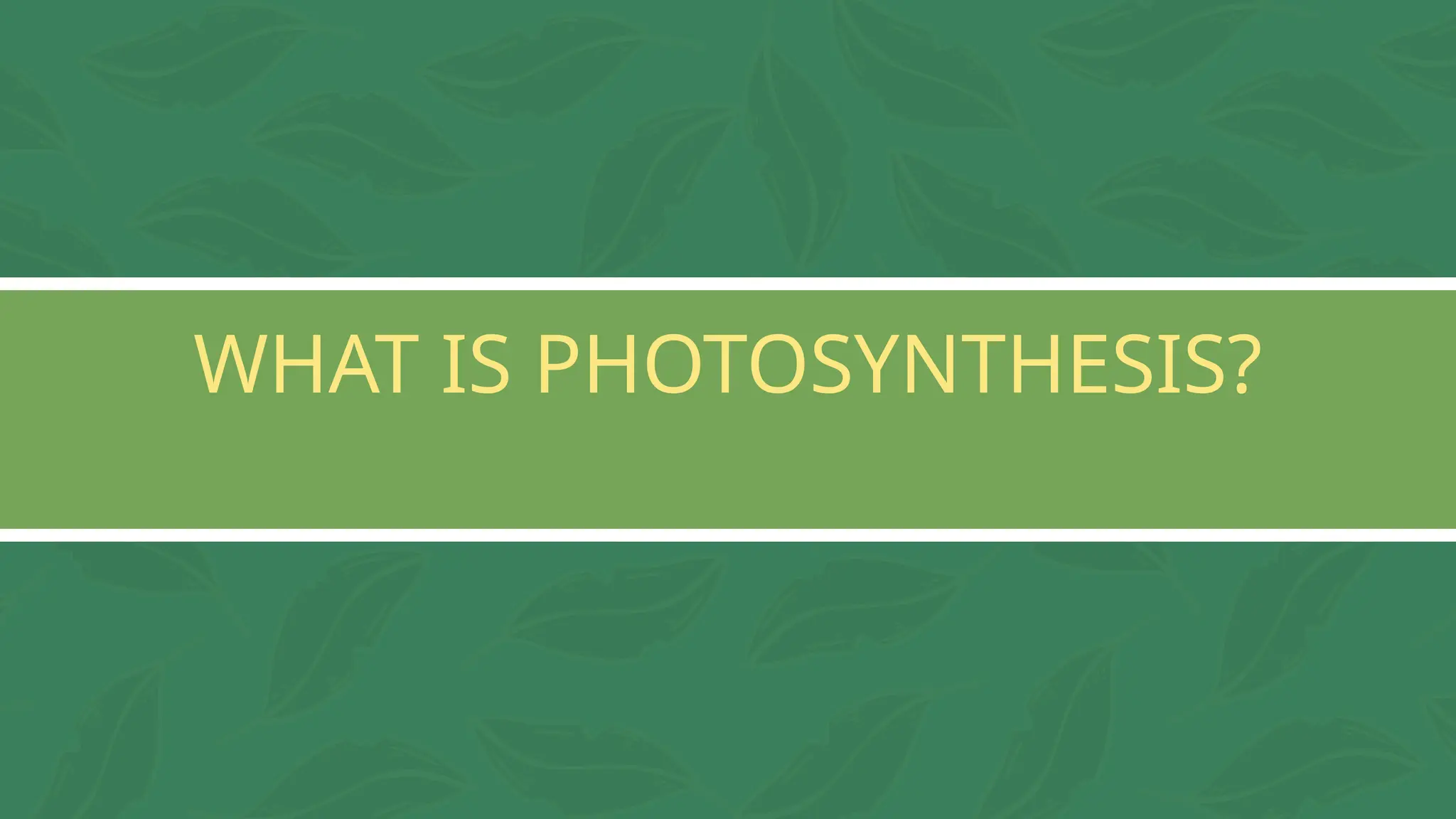 The Science of Photosynthesis: How Plants Convert Sunlight into Energy ...