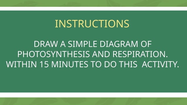 The Science of Photosynthesis: How Plants Convert Sunlight into Energy ...
