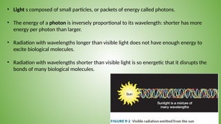Photosynthesis Process for High School, Biology | PPT