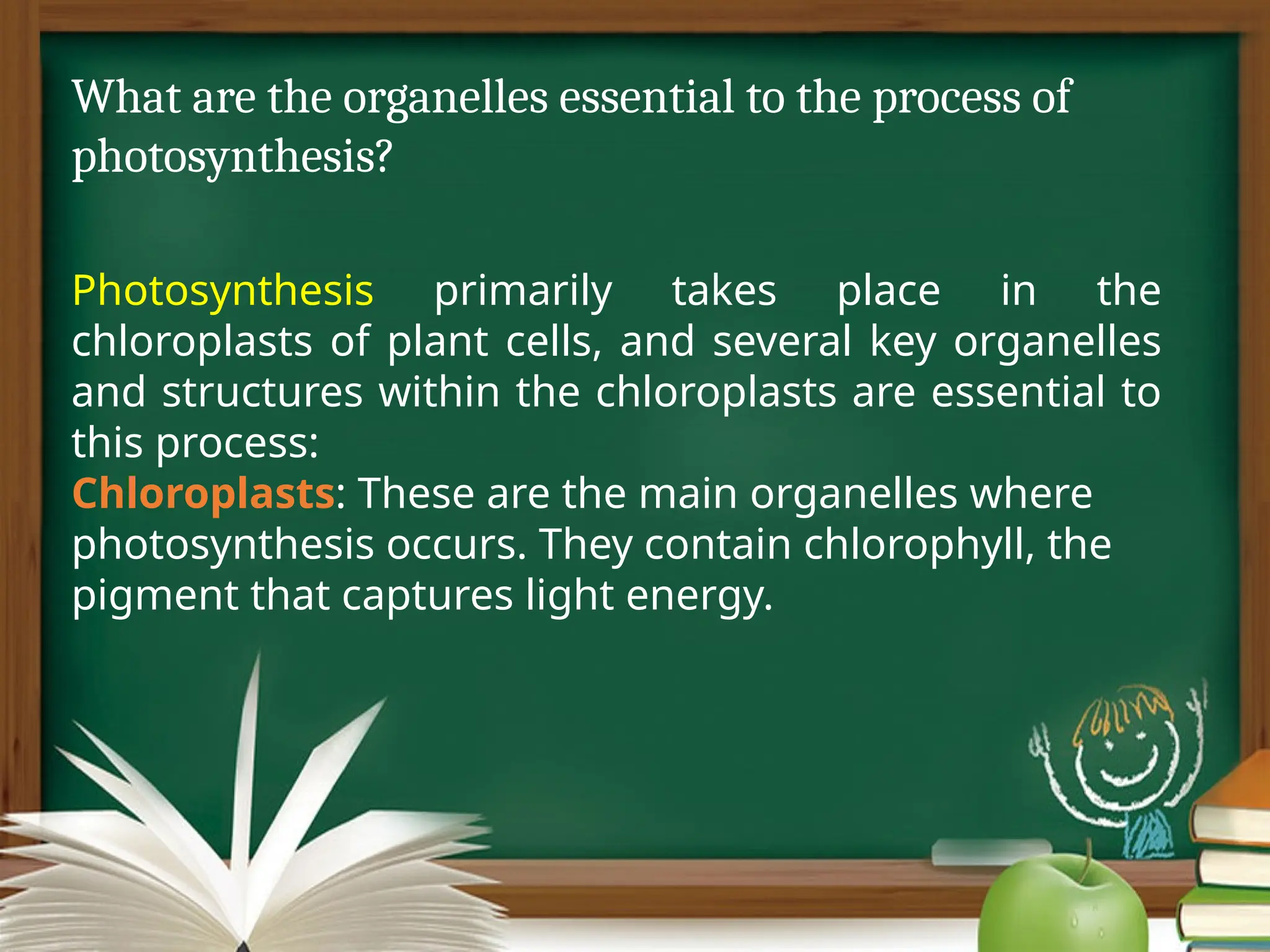 Photosynthesis Light-Dependent and Light-Independent Reaction.pptx