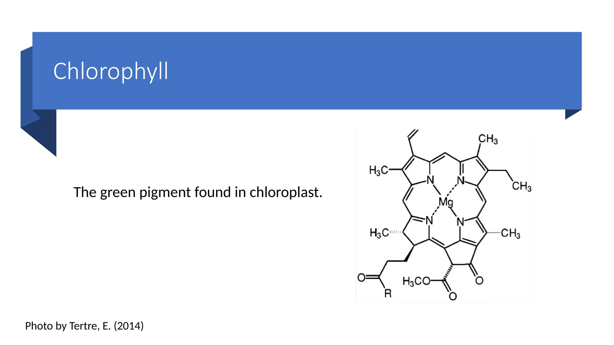 The Photosynthesis System of our Planet Earth | PPT