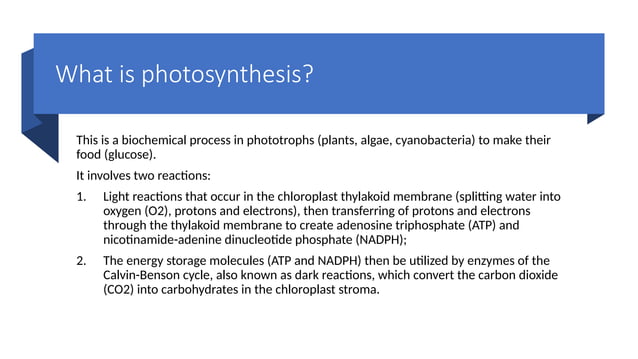 The Photosynthesis System of our Planet Earth | PPT | Free Download