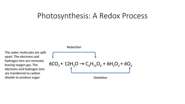 The Photosynthesis System of our Planet Earth | PPT