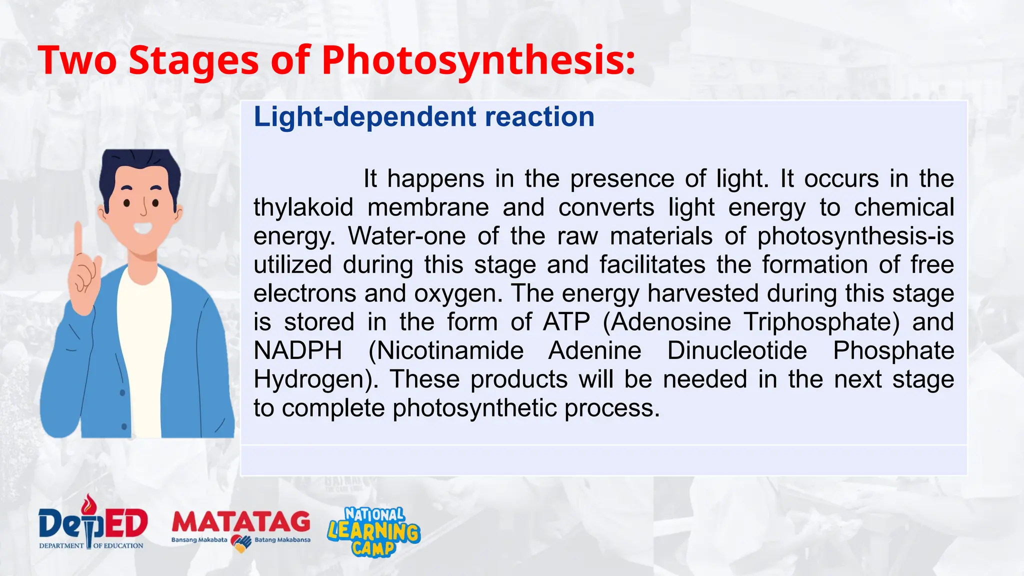 Photosyntehsisherepleaselearnhersis.pptx