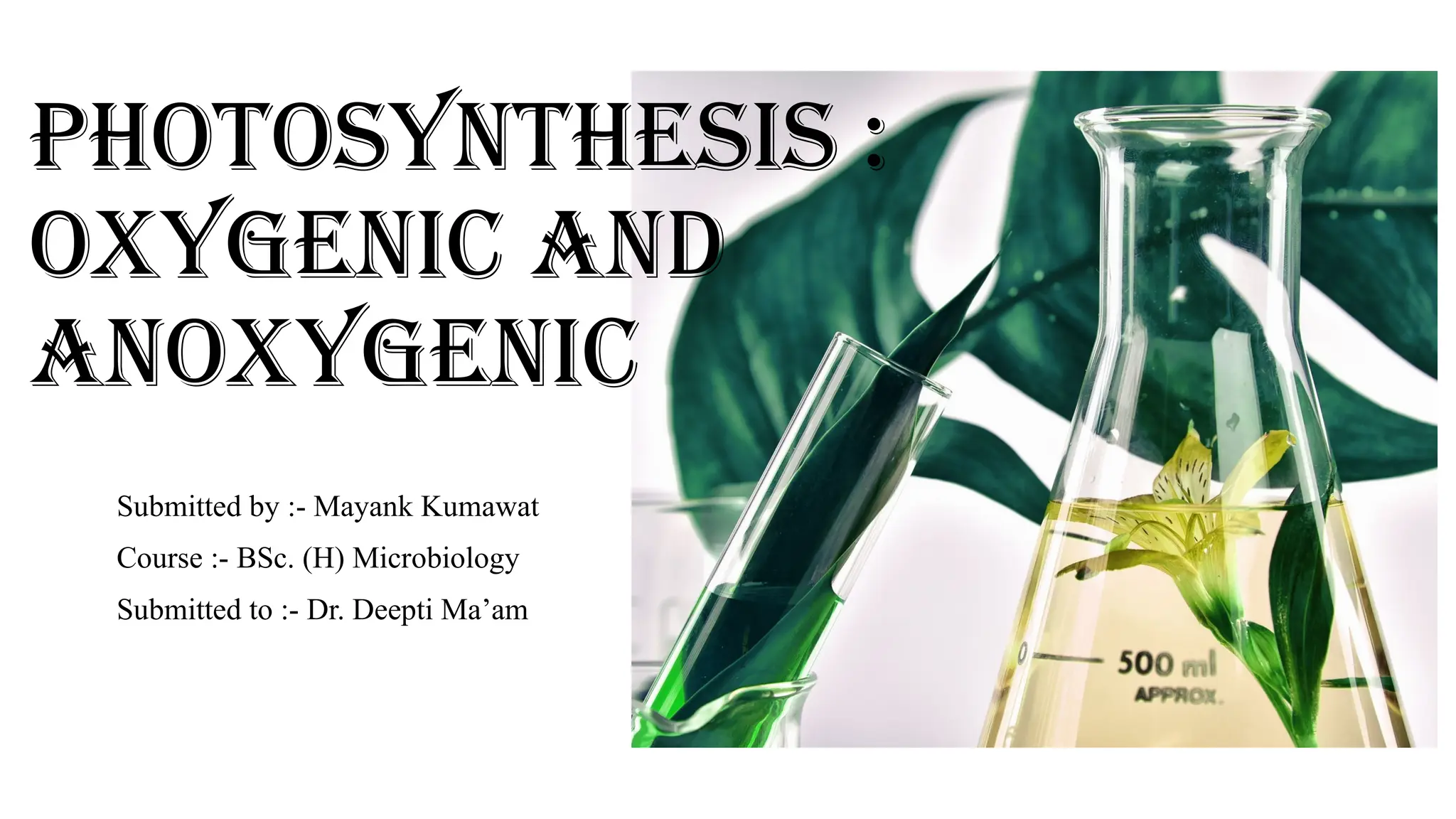 Photosynthesis OXYGENIC AND ANOXYGENIC.pptx