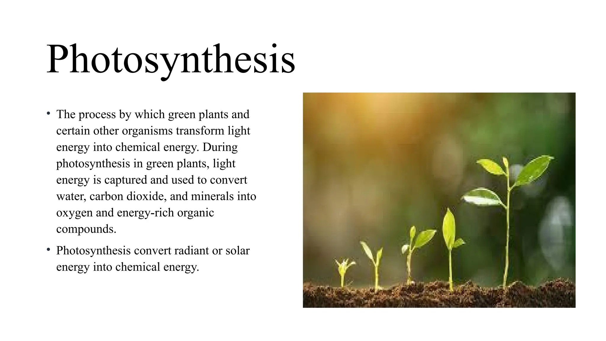 Photosynthesis OXYGENIC AND ANOXYGENIC.pptx