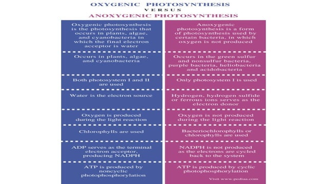 Photosynthesis OXYGENIC AND ANOXYGENIC.pptx