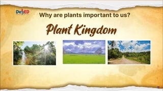 Grade 9 Science Module 5 Lesson in Photosynthesis and Celllular ...