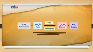 Grade 9 Science Module 5 Lesson in Photosynthesis and Celllular ...