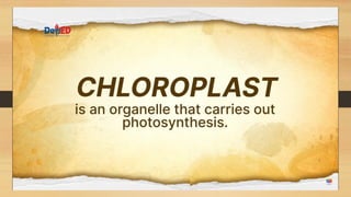 Grade 9 Science Module 5 Lesson in Photosynthesis and Celllular ...