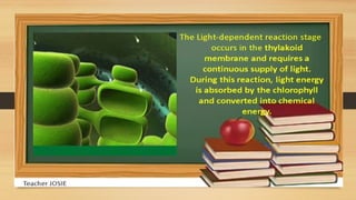 Grade 9 Science Module 5 Lesson in Photosynthesis and Celllular ...
