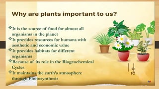 Grade 9 Science Module 5 Lesson in Photosynthesis and Celllular ...