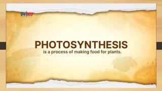 Grade 9 Science Module 5 Lesson in Photosynthesis and Celllular ...