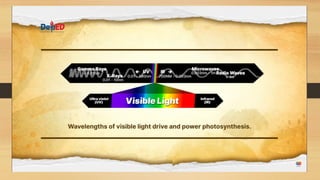 Grade 9 Science Module 5 Lesson in Photosynthesis and Celllular ...