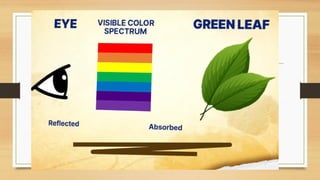 Grade 9 Science Module 5 Lesson in Photosynthesis and Celllular ...