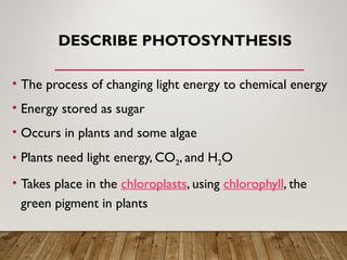 Explaining Photosynthesis and its example | PPT