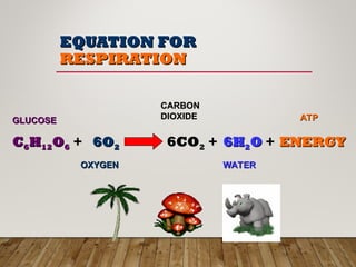 Explaining Photosynthesis and its example | PPT