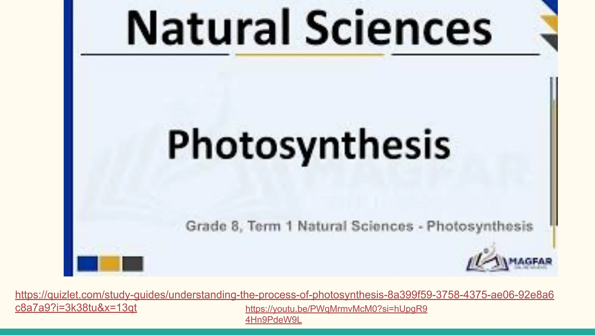 8th Grade Science: Photosynthesis Slides | PDF