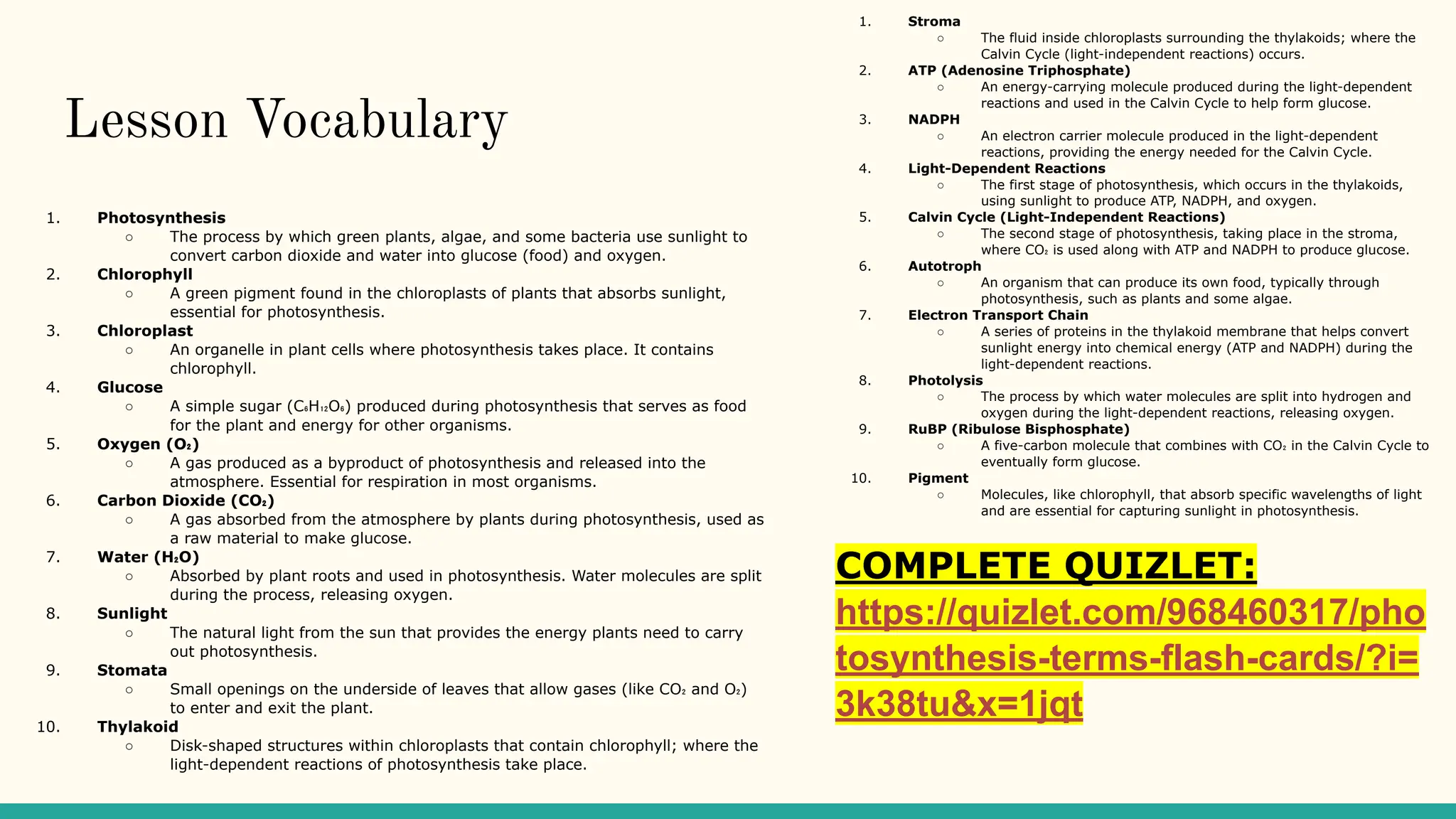 8th Grade Science: Photosynthesis Slides | PDF