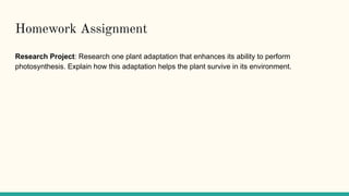 8th Grade Science: Photosynthesis Slides | PDF
