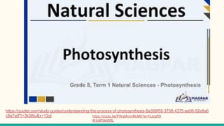 8th Grade Science: Photosynthesis Slides | PDF