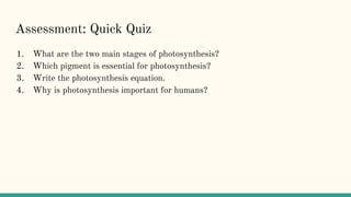 8th Grade Science: Photosynthesis Slides | PDF