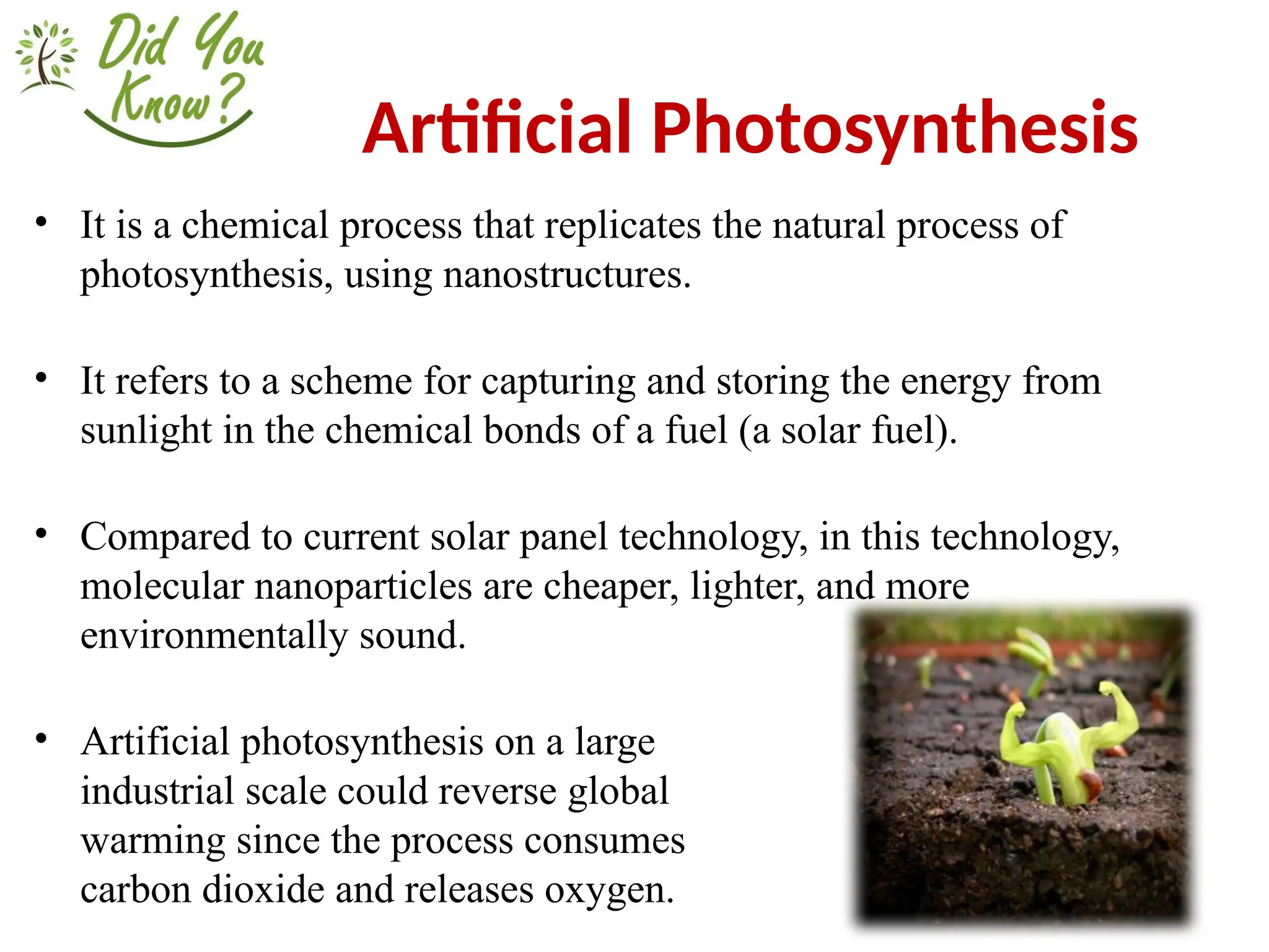 ph3123123123123123123312otosynthesis.pptx