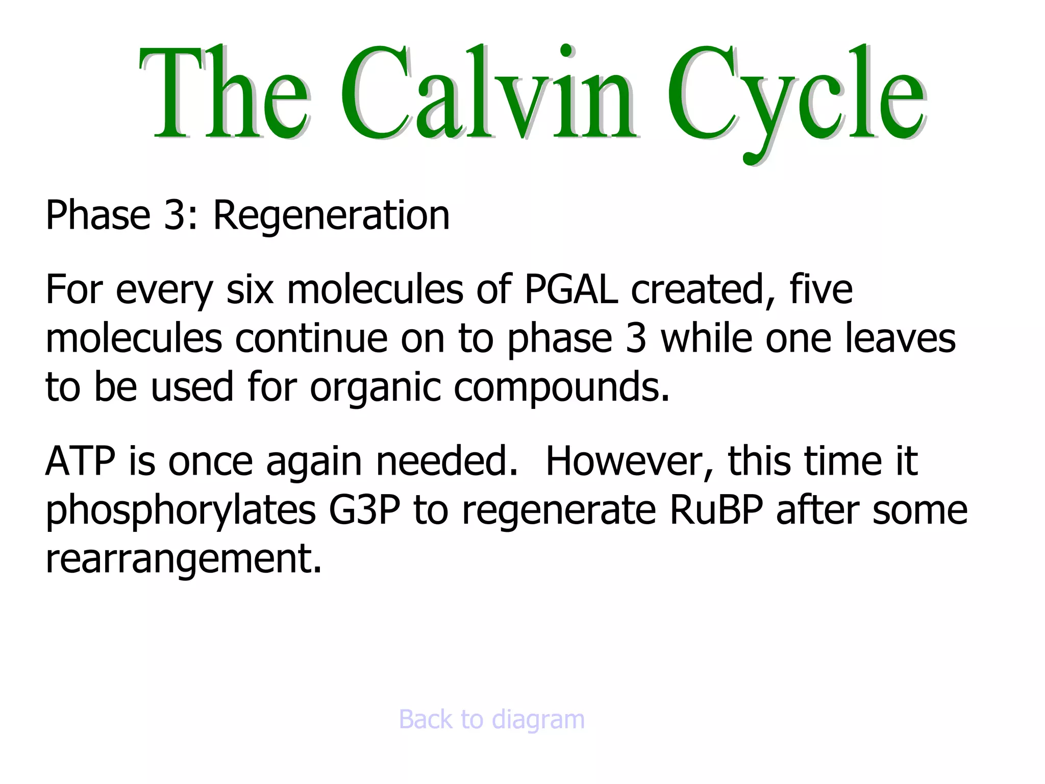 Photosynthesis | PPT