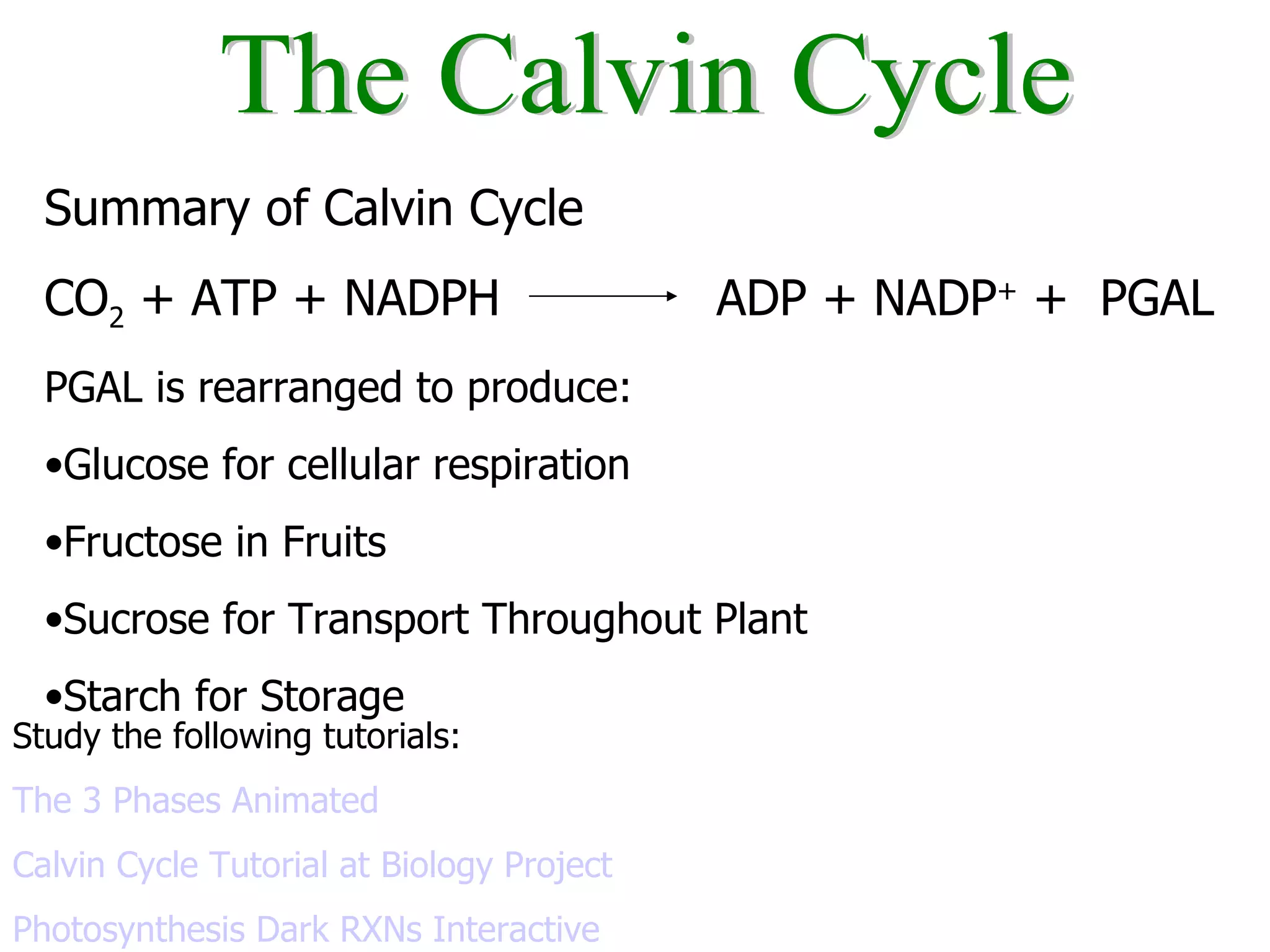 Photosynthesis | PPT