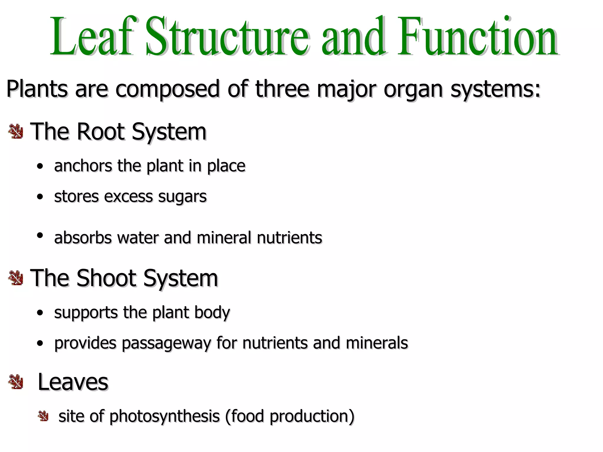 Photosynthesis | PPT