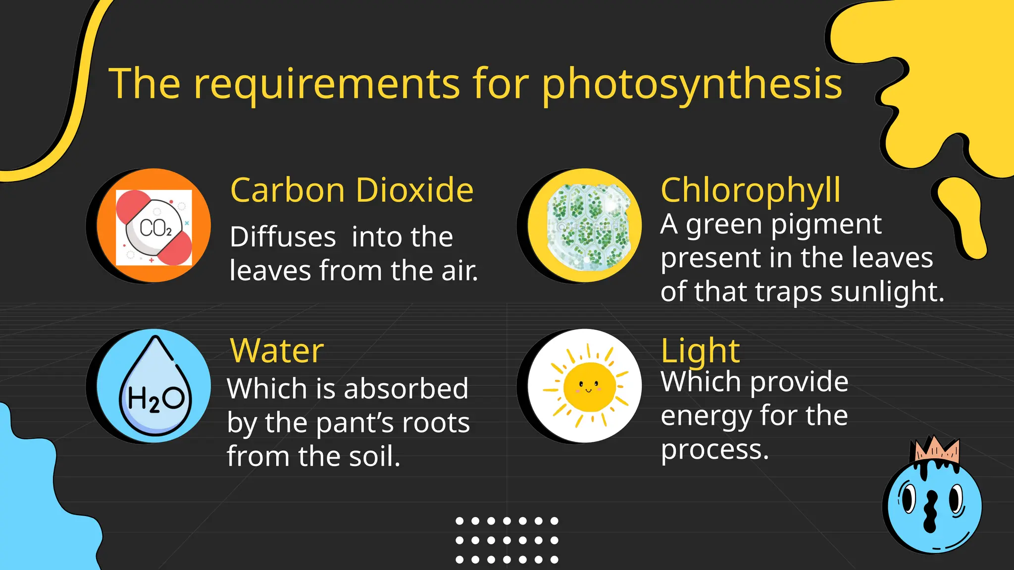 photosynthesis.pptx biology chlorophyll green | PPTX