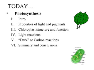 Photosynthesis A2 level Biology cambridge notes | PPT