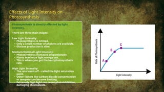 PHOTOSYNTHESIS.pptx dfjgjskdjrigjsdfgkopsdfksdfgokdogfos | PPTX