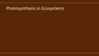 The Process of Photosynthesis and its Importance | PPTX