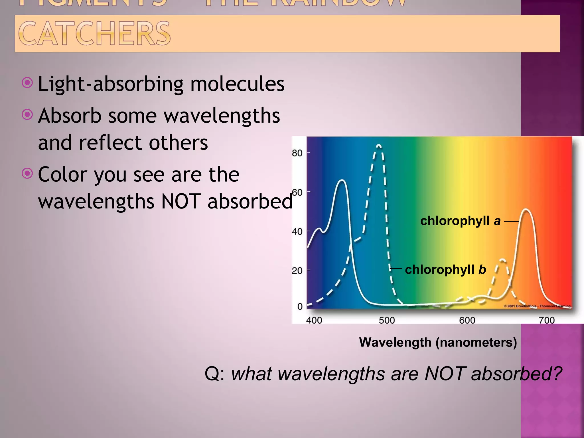 Photosynthesis.a2ppt | PPT