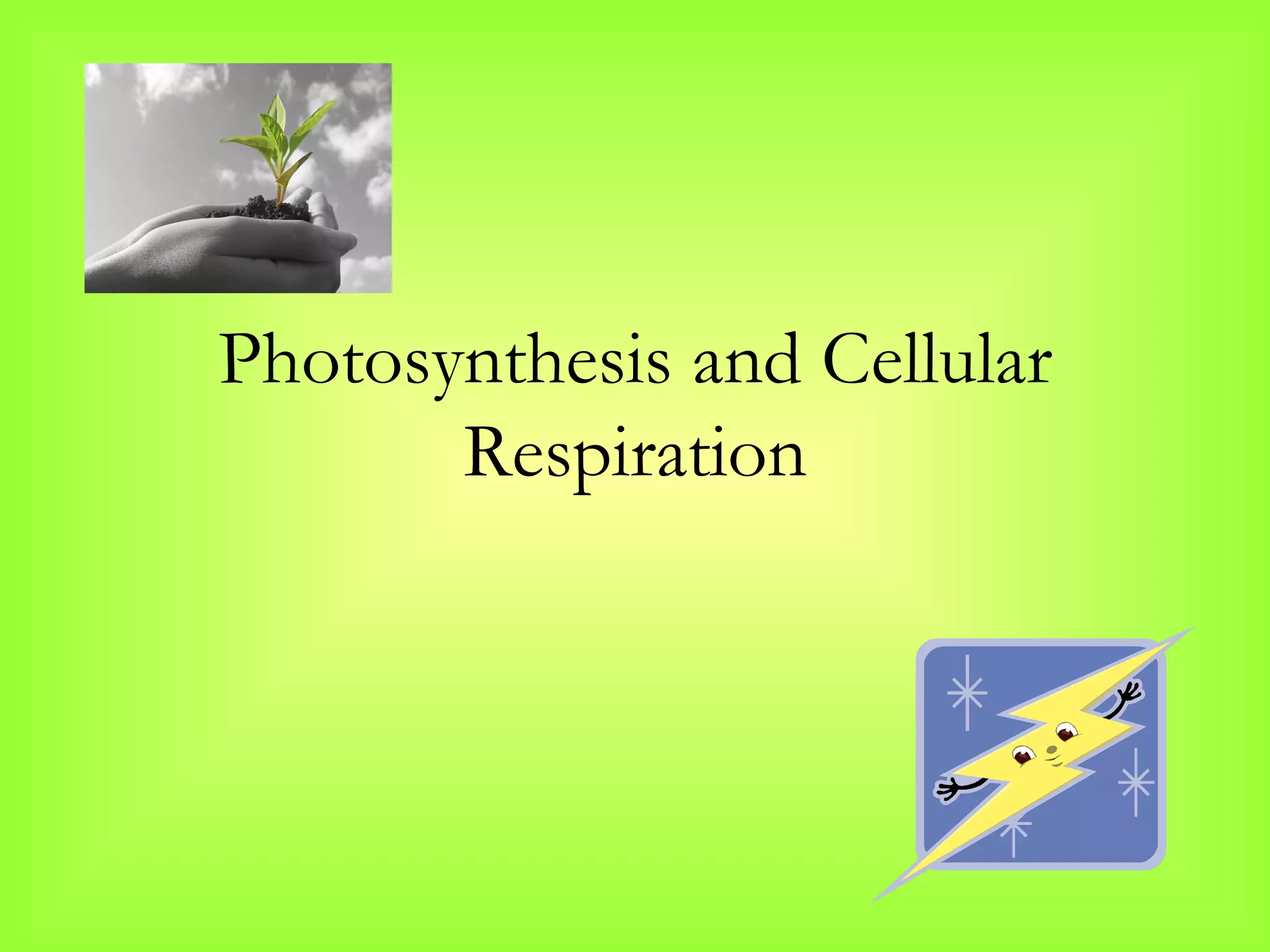 Photosynthesis And Cellular Respiration Notes New | PPT