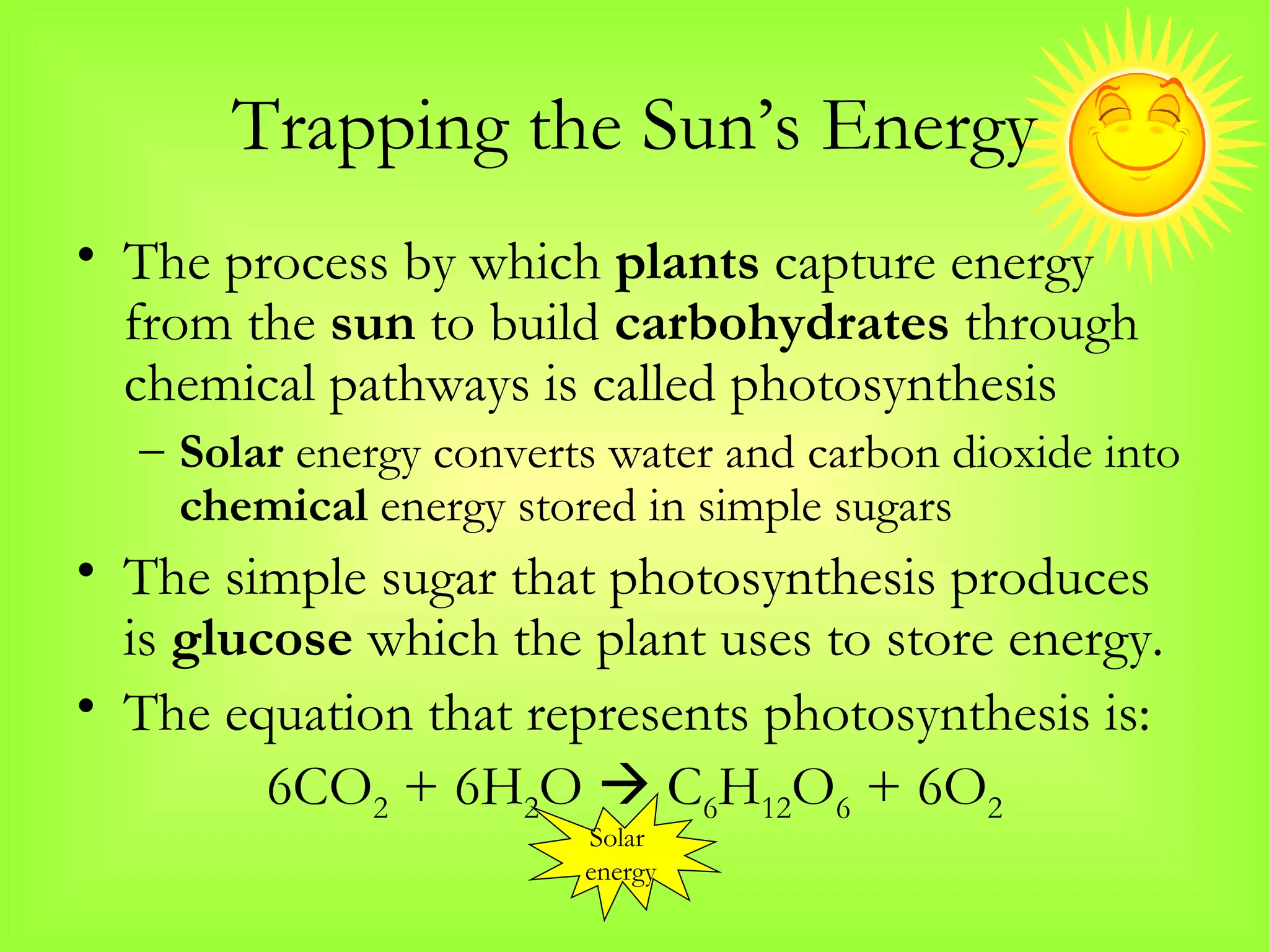 Photosynthesis And Cellular Respiration Notes New | PPT