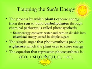 Photosynthesis And Cellular Respiration Notes New | PPT | Chemistry ...