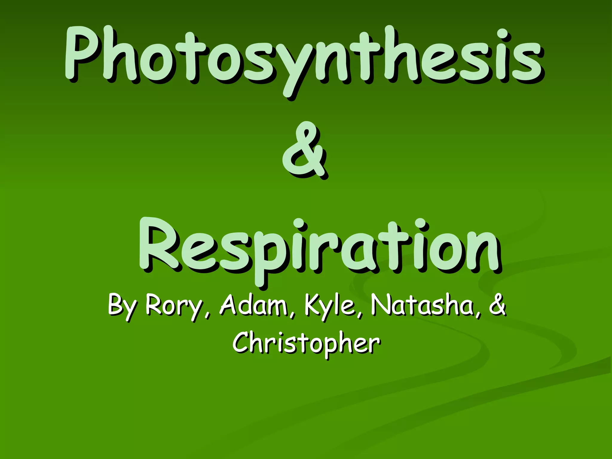 Photosynthesis and Respiration | PPT