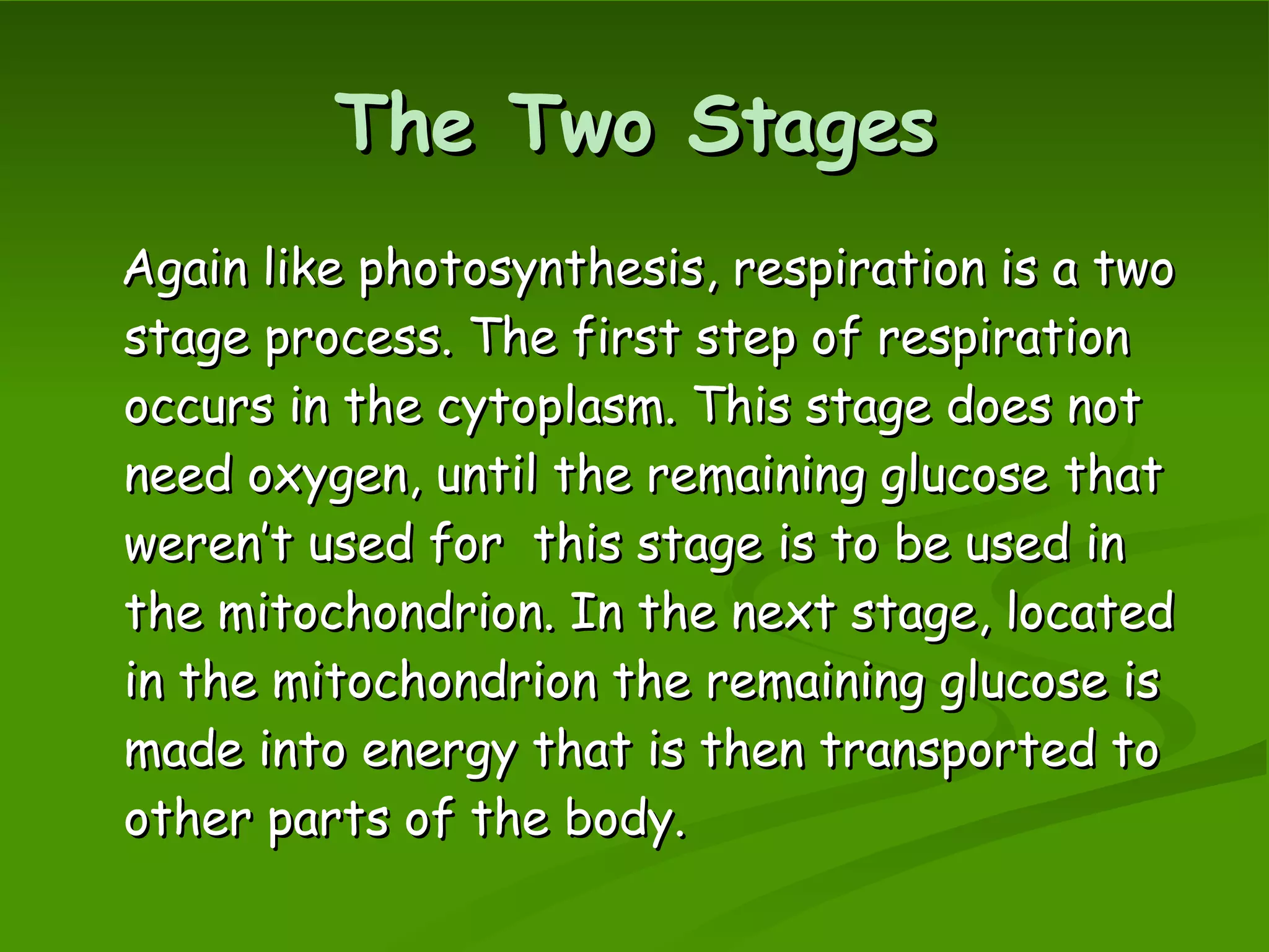 Photosynthesis and Respiration | PPT
