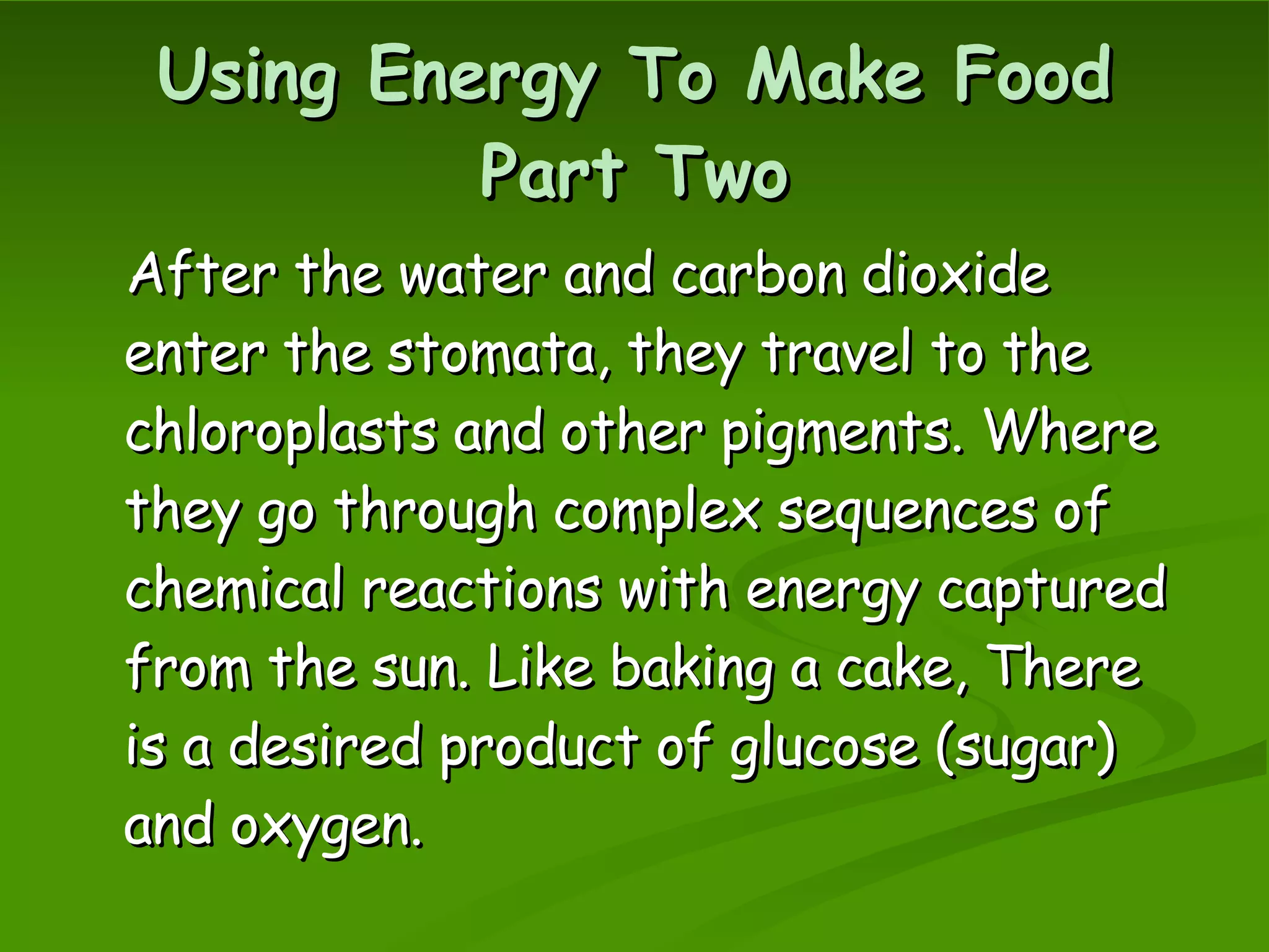 Photosynthesis and Respiration | PPT