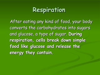 Photosynthesis and Respiration | PPT