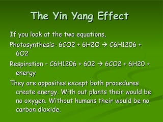 Photosynthesis and Respiration | PPT