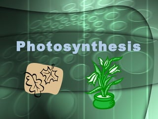 Photosynthesis | PPT