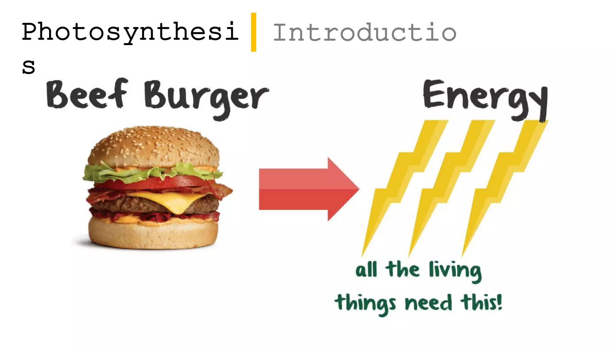 Photosynthesis - Chaidir Adam 2017 | PPTX