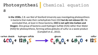 Photosynthesis - Chaidir Adam 2017 | PPT